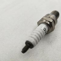China Tricycle Engine Spare Parts 250cc Water Cooled Engine Spark Plug for Better Efficiency for sale