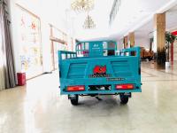 China 250CC Motorized Cargo Tricycle with 3 Wheel Motorcycle Trike Gasoline from Chinese for sale