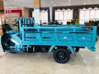 China 250CC Motorized Cargo Tricycle with 3 Wheel Motorcycle Trike Gasoline from Chinese for sale