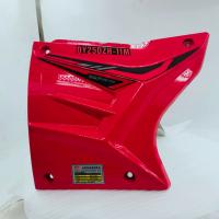 China DAYANG High Red Motorcycle Petrol Fuel Tank Cover for Tricycle Oil Tank Side Cover for sale