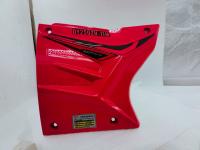 China DAYANG High Red Motorcycle Petrol Fuel Tank Cover for Tricycle Oil Tank Side Cover for sale