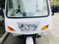 China Dayang Gasoline Van Tricycle with 10-20L Fuel Tank Capacity and High Grade Ability ≥25° for sale
