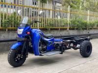 China DAYANG 2021 70km/h Rase 300cc Petrol Three Wheels Cargo Tricycle with 5.5-12 Big Sand Tire for sale