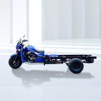 China DAYANG 300CC Water Cooling Chassis 50*100 Fuel Oil Sand tire Tricycle for Freight for sale