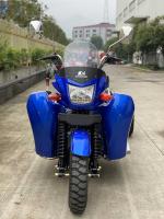 China DAYANG 300CC Water Cooling Chassis 50*100 Fuel Oil Sand tire Tricycle for Freight for sale