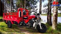 China 250cc Cargo Tricycle Three Wheels Motorcycle with Tyre 5.00-12 and Open Body Type for sale