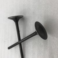 China Steel Made DAYANG Three Wheel Motorcycle Oil-cooled Engine Exhaust Valve For CB200-A for sale