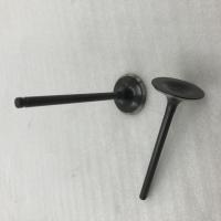 China Steel Made DAYANG Three Wheel Motorcycle Oil-cooled Engine Exhaust Valve For CB200-A for sale
