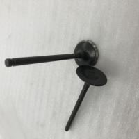 China Steel Made DAYANG Three Wheel Motorcycle Oil-cooled Engine Exhaust Valve For CB200-A for sale