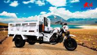 China 150cc/175cc/200cc Engine Motorized Tricycles Cargo Tricycles for Adult by WUYANG for sale