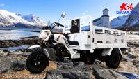 China 150cc/175cc/200cc Engine Motorized Tricycles Cargo Tricycles for Adult by WUYANG for sale