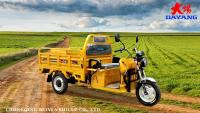 China Cargo Tricycle 1000w 12000w 1500w Electric Adult Motorcycle Blue 3 Wheels CCC OEM for sale