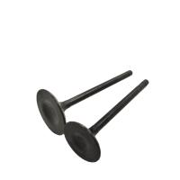 China DAYANG Three Wheel Motorcycle Tricycle Black Iron Engine Forging Valve with Materials for sale