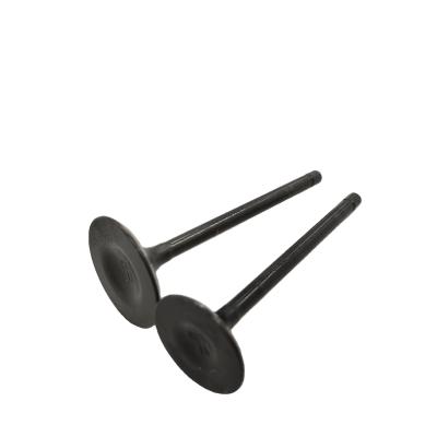 China DAYANG Three Wheel Motorcycle Tricycle Black Iron Engine Forging Valve with Materials for sale