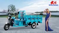 China DY-160 Upgrade Heavy Duty Three Wheel Electric Cargo Tricycles for Farm 1.5m Cargo Box for sale