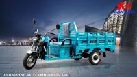 China DY-160 Upgrade Heavy Duty Three Wheel Electric Cargo Tricycles for Farm 1.5m Cargo Box for sale