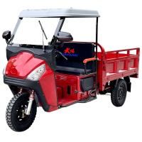 China DAYANG Big Space Displacement 250cc Delivery Motorized Tricycle for Zambia Cargo for sale