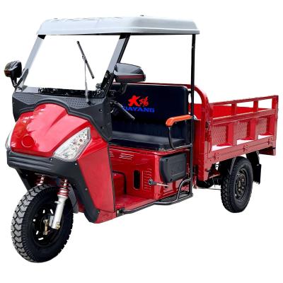 China DAYANG Big Space Displacement 250cc Delivery Motorized Tricycle for Zambia Cargo for sale
