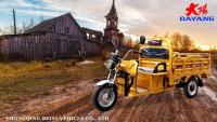 China Electric Cargo Transportation Yellow Electric Tricycles DY-160-1 for sale