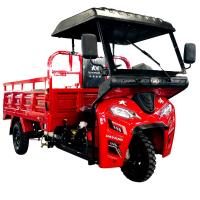 China Retail 200cc/250cc/300cc Cargo Tricycle with Powerful Engine and 5 2 Rear Spring Leafs for sale