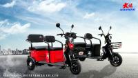 China 350W Electric Tricycle For Adult Passenger And Cargo Carrier 100KG Loading Capacity for sale