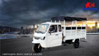 China Custom Color Body Overall Frame 800cc Car Engine Motorcycle Tricycle for Adult 3 Wheel for sale