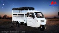 China Custom Color Body Overall Frame 800cc Car Engine Motorcycle Tricycle for Adult 3 Wheel for sale