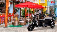 China Voltage 48V Electric Trike Scooter Three Wheel Motorized Driving Type Tricycle for sale