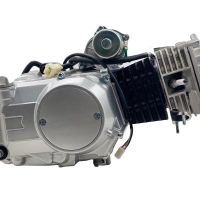 China 125cc Gasoline Engine Tricycle Parts with Max.Power of 7.2kW/8500 r/min from DAYANG for sale