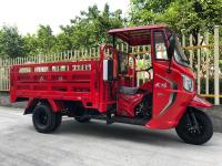 China 250cc Motorized Cargo Tricycle Made in Designed for Heavy Loading and Cargo Transportation for sale