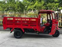 China 250cc Motorized Cargo Tricycle Made in Designed for Heavy Loading and Cargo Transportation for sale