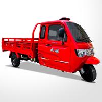 China High Payload Capacity DAYANG Adult Enclosed Motorized Tuk Tuk Tricycle for Sightseeing for sale