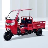 China Cabin DAYANG Motorized Adult Passenger Cargo Tricycle 3 Wheel Bike Taxi Tuk Tuk Cart for sale