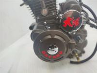 China 200cc Air-cooled DAYANG CG200 LIFAN Chinese Three Wheels Motorcycle Engines Assembly for sale