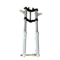 China Front Shock Absorber 3 Wheel Cargo Motorcycle Tricycle with A-CLASS and 24/4 Bushings for sale