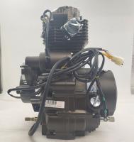 China 200cc Air-cooled DAYANG CG200 LIFAN Chinese Three Wheels Motorcycle Engines Assembly for sale