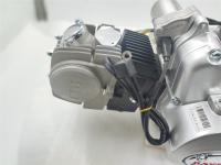 China Chongqing Direct Supply Lifan DAYANG 125CC Air Cooling Engines Assembly for Tricycles for sale