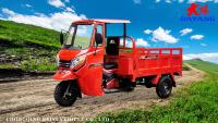 China Affordable 200cc Water Cooling Engine Mini Truck Cargo Trike for Your Requirements for sale