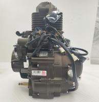 China Electric/Kick Start DAYANG MOTOR 175cc Three Wheel Motorcycle Engine with Water Pump for sale