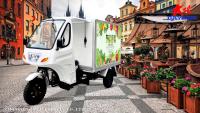 China 50*100 Chassis 9A 12V Cargo Motor Tricycle for Heavy Cargo Transportation for sale