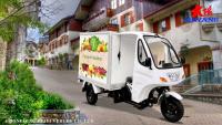 China 50*100 Chassis 9A 12V Cargo Motor Tricycle for Heavy Cargo Transportation for sale