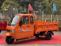 China Dayang Tricycle 200cc/250cc/300cc Motorcycle with 5.00-12 Tyre and 1000kg Loading Capacity for sale