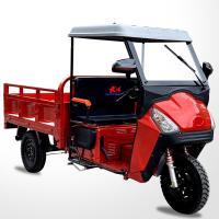 China DAYANG Big Space Displacement 250cc Delivery Motorized Tricycle for Zambia Cargo for sale