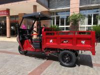 China DAYANG Big Space Displacement 250cc Delivery Motorized Tricycle for Zambia Cargo for sale