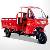 China Sturdy Gazoil Trike Motorcycle with 150/200/250/300cc Engine and 50*100 Chassis for sale