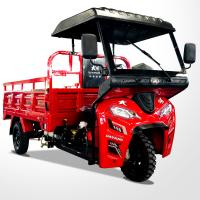 China Driving Type Motorized Standard Size 3 Wheel Tricycle for Petrol Cargo Delivery for sale