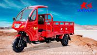 China Cargo Trike Motorcycle for Passenger Transport 2.4*1.35m Box Size Gasoline Tricycles for sale