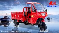 China Cargo Trike Motorcycle for Passenger Transport 2.4*1.35m Box Size Gasoline Tricycles for sale