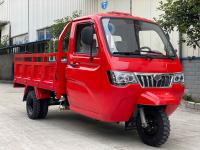 China 250cc Closed Cabin Motor Tricycle for Easy and Comfortable Passenger Transport for sale