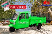 China Gasoline Trike Motorcycle 2.4*1.35m Cargo Box Size Front Disc Rear Drum Brake System for sale
